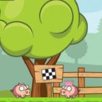 Love Pig - Help the 2 pigs pass all challenges
