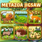 Metazoa Jigsaw - Arrange the pieces of metazoa puzzles